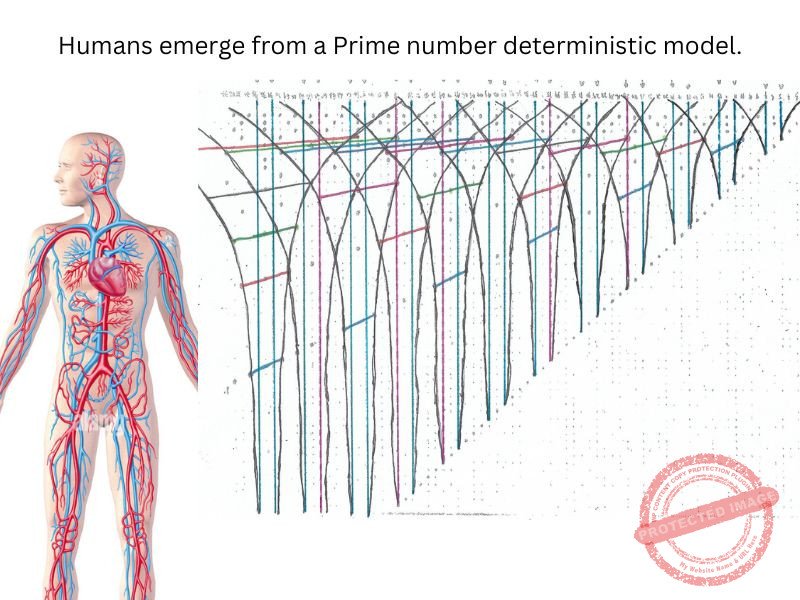 The Five Principles of Organized Complexity – Where does the Organized ...